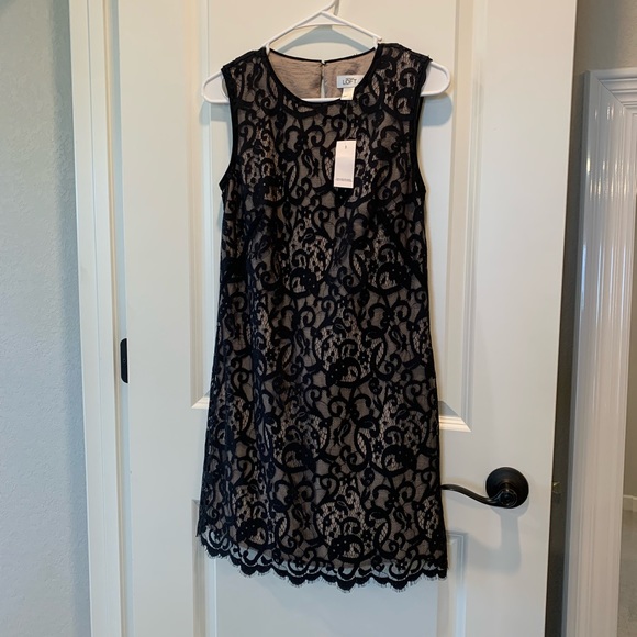 LOFT | Dresses | Loft Nwt | Poshmark